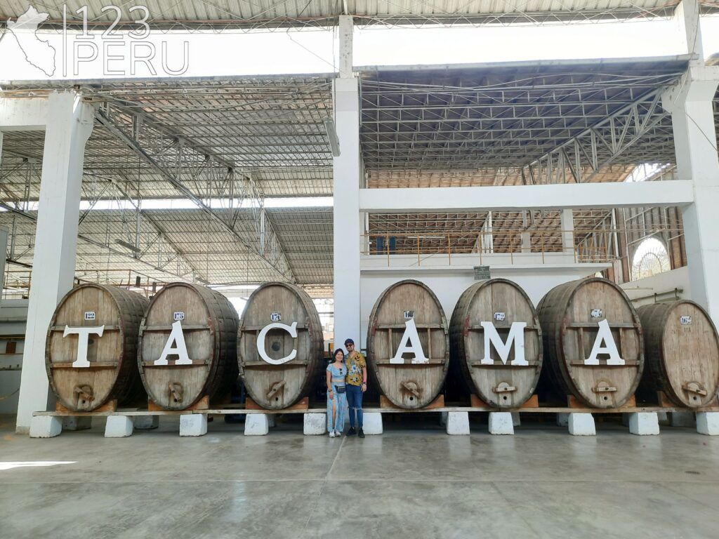 Visiting the Wineries and Vineyards: Wine Tourism in Ica - 123 Peru